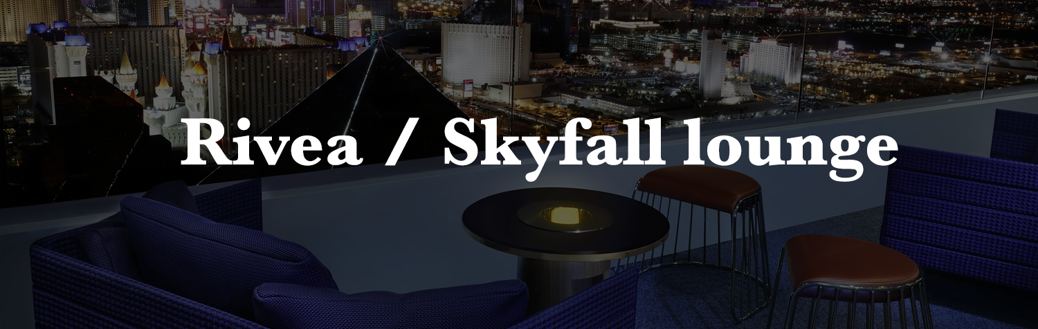 Services – Xperience VIP Las Vegas